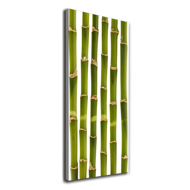 Bay Isle Home Bamboo - Wrapped Canvas Art Prints | Wayfair.co.uk