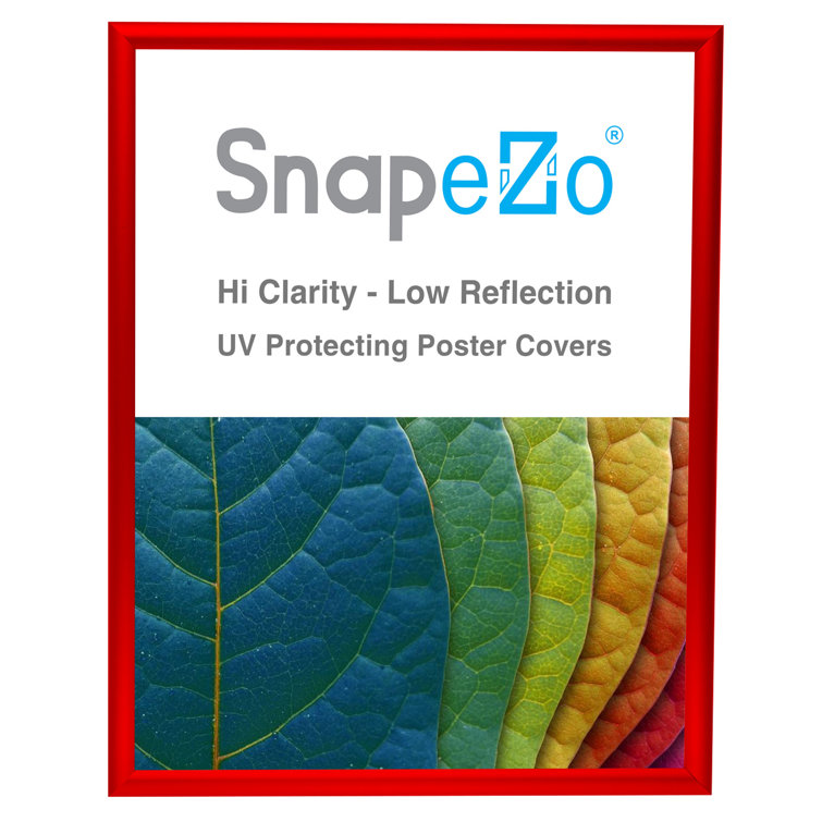 SnapeZo Metal Picture Frame & Reviews | Wayfair