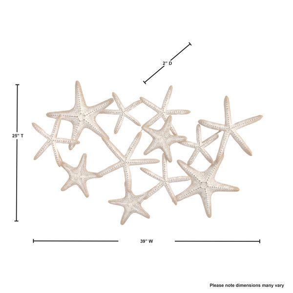 Beachcrest Home™ Starfish Wall Décor & Reviews | Wayfair