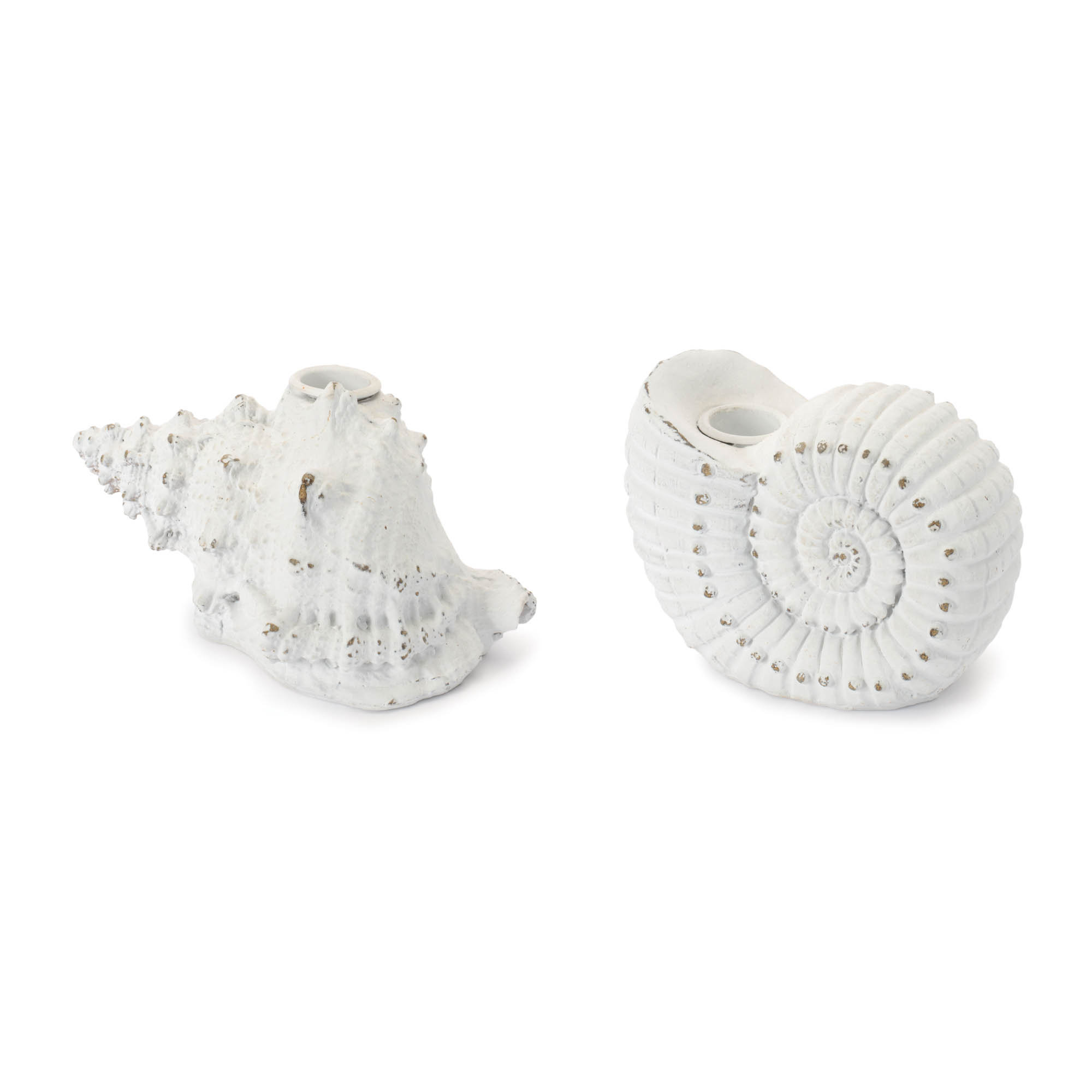 Highland Dunes Sea Shell Taper Candle Holder | Wayfair