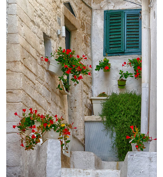 Latitude Run® Italy Puglia Brindisi Itria Valley Ostuni Potted Flowers ...