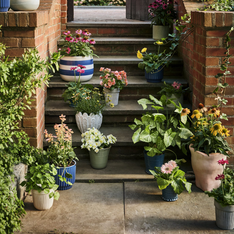 Birch Lane™ Vella Handmade Ceramic Pot Planter & Reviews | Wayfair