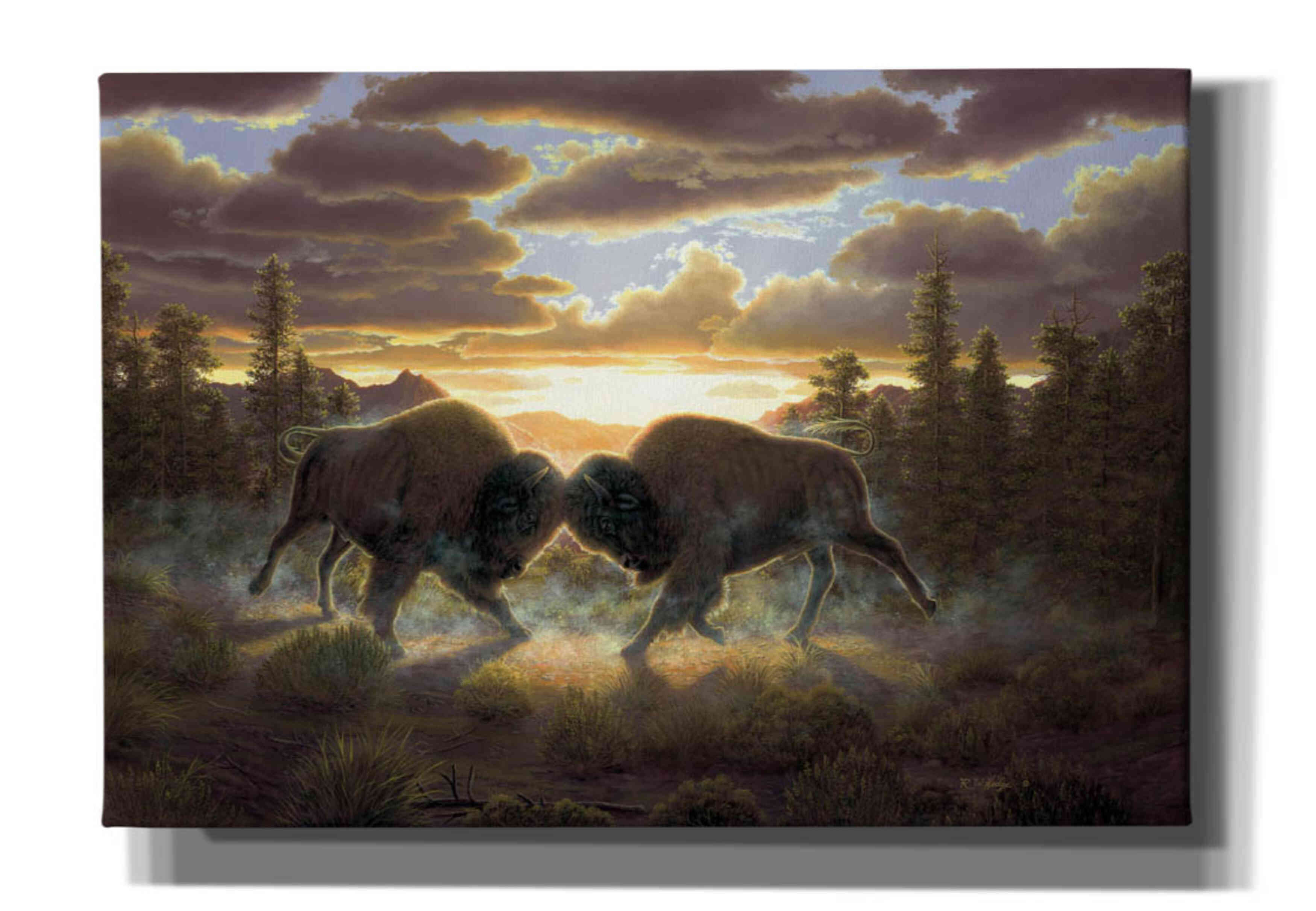 Millwood Pines Epic Graffiti 'Buffalo' By R. Hed, Canvas Wall Art ...