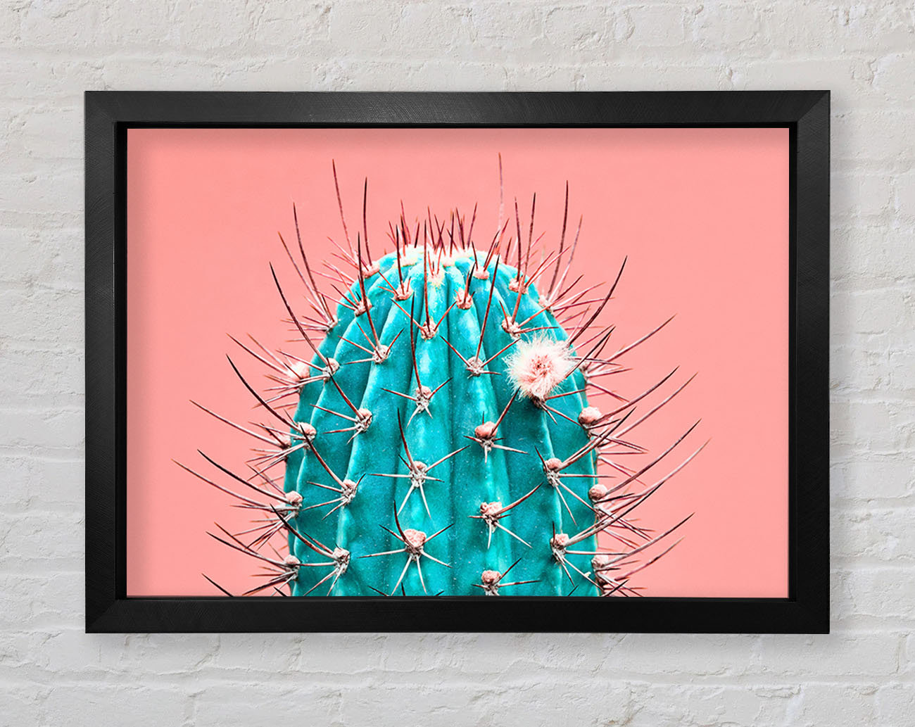 Bright Star Teal Cactus - Single Picture Frame Art Prints | Wayfair.co.uk
