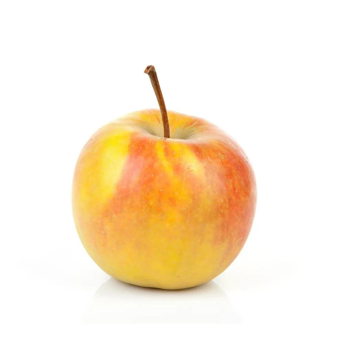 American Plant Exchange Suncrisp Apple Tree, Live Outdoor Fruiting ...