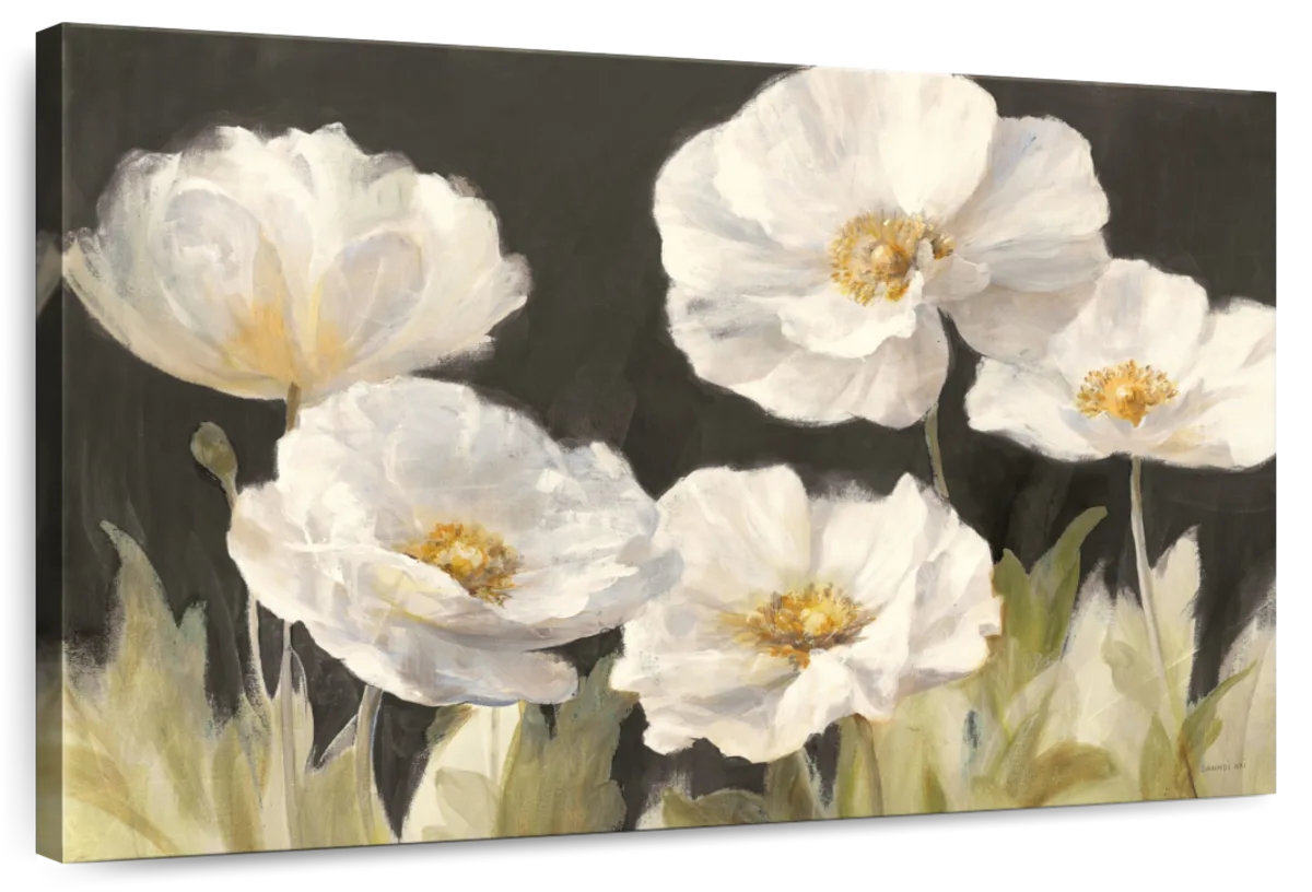 Lark Manor Harnek White Anemones On Black - Wayfair Canada