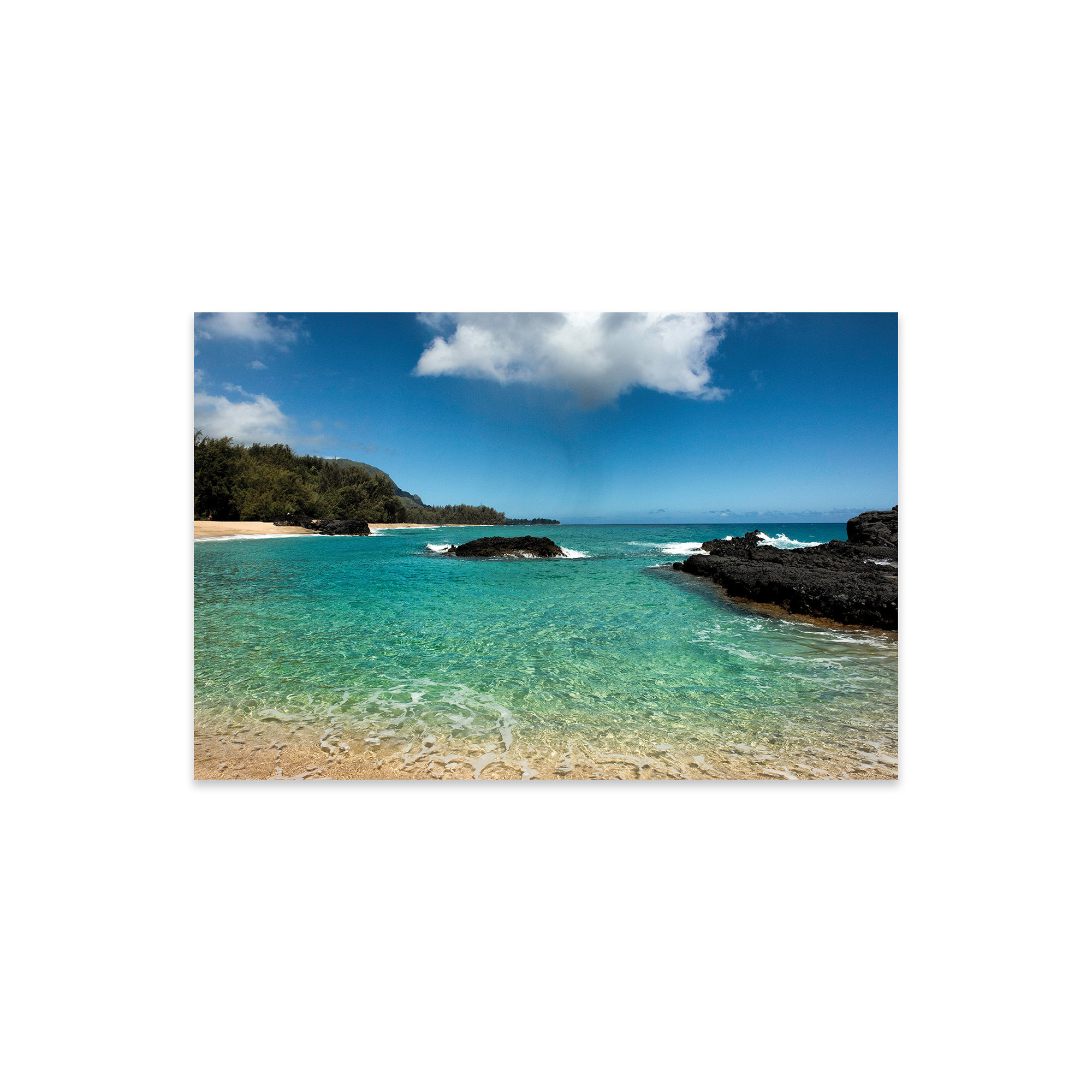 Dovecove Amberson Paradise On Plastic/Acrylic by Danny Head Graphic Art ...