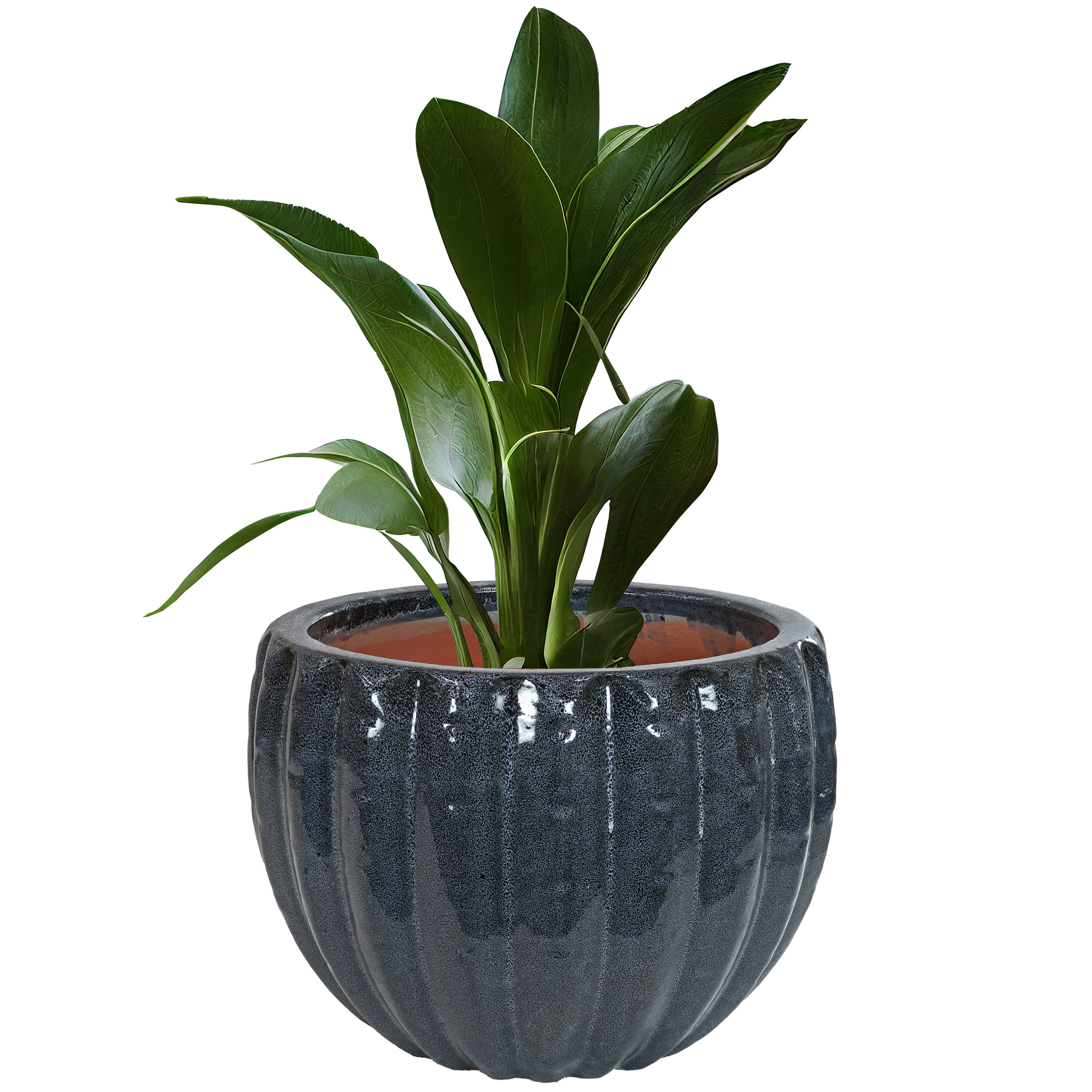 Winston Porter Sharlita Round Black Mist Ceramic Outdoor Planter Pot ...