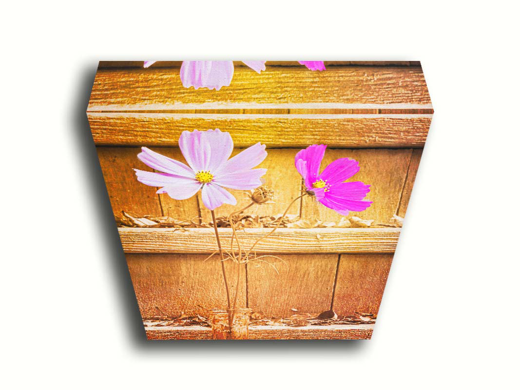 One Allium Way® Wild Flowers on Stairs by Hal Halli. Giclee Gallery ...