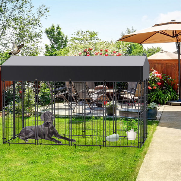 BingoPaw Outdoor Covered Dog Pen & Reviews | Wayfair