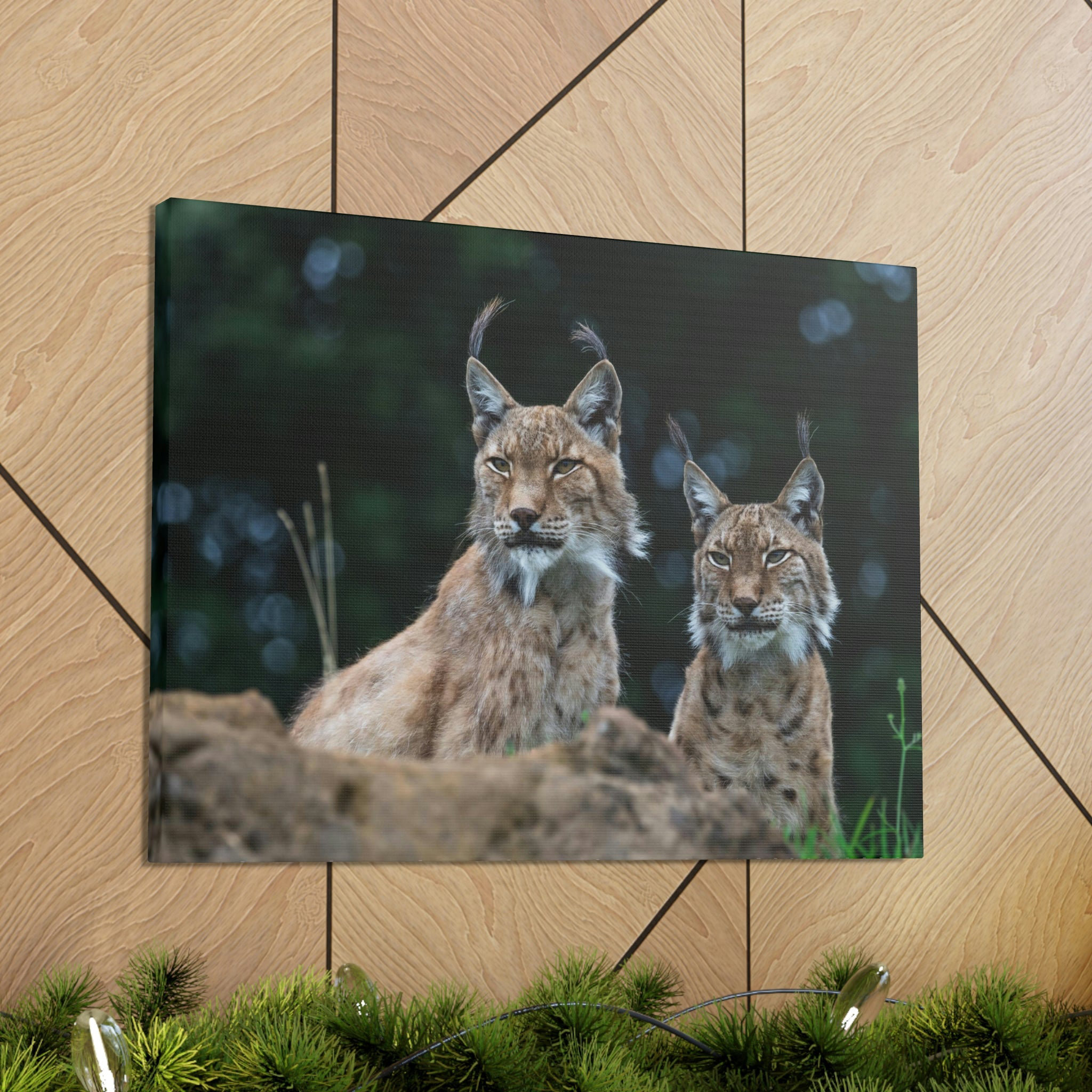 Latitude Run® Funny Wildcat Silly Wildcat Scene Couple Wall Art | Wayfair