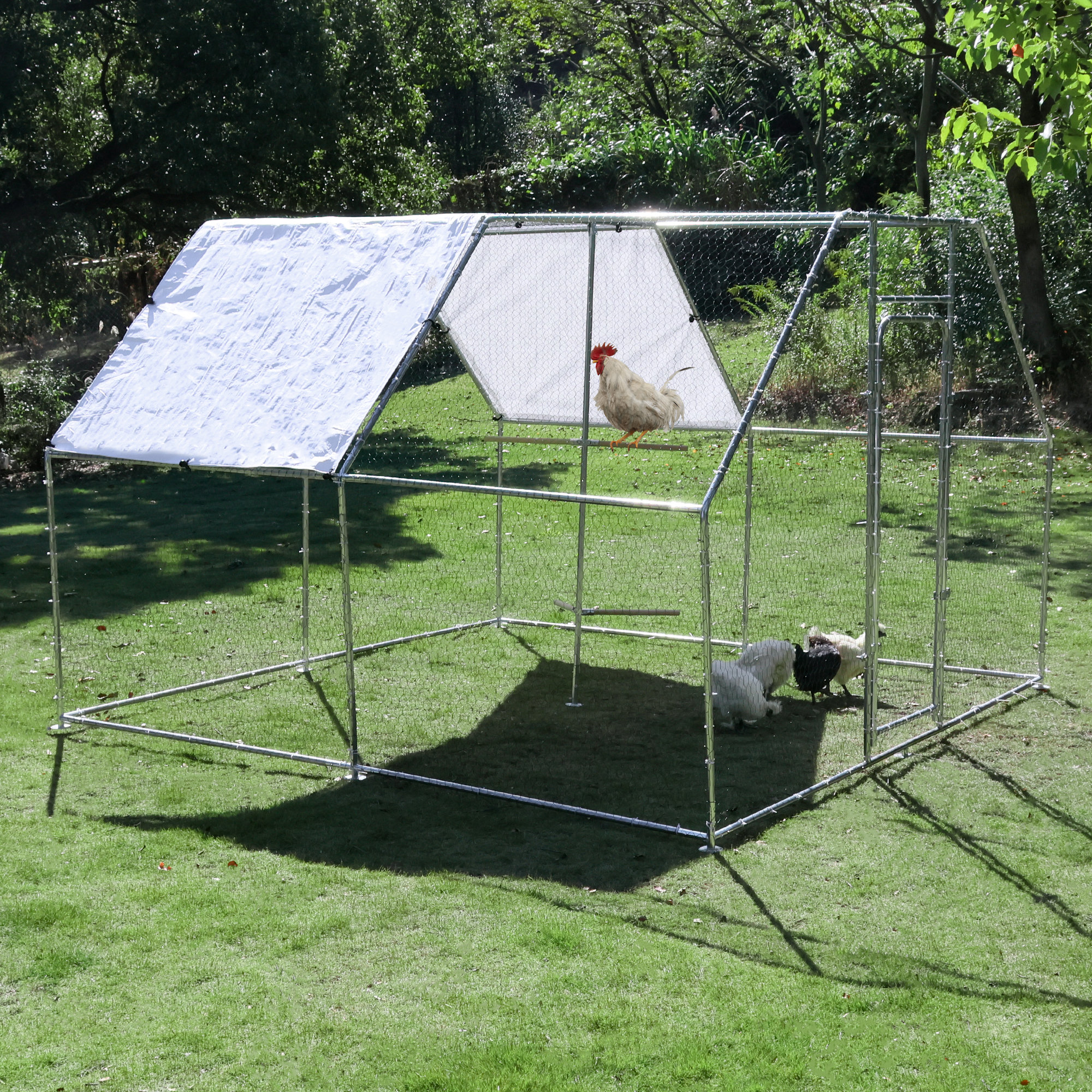 Tucker Murphy Pet™ Lavonne Walk In Chicken Run Coop with Waterproof ...
