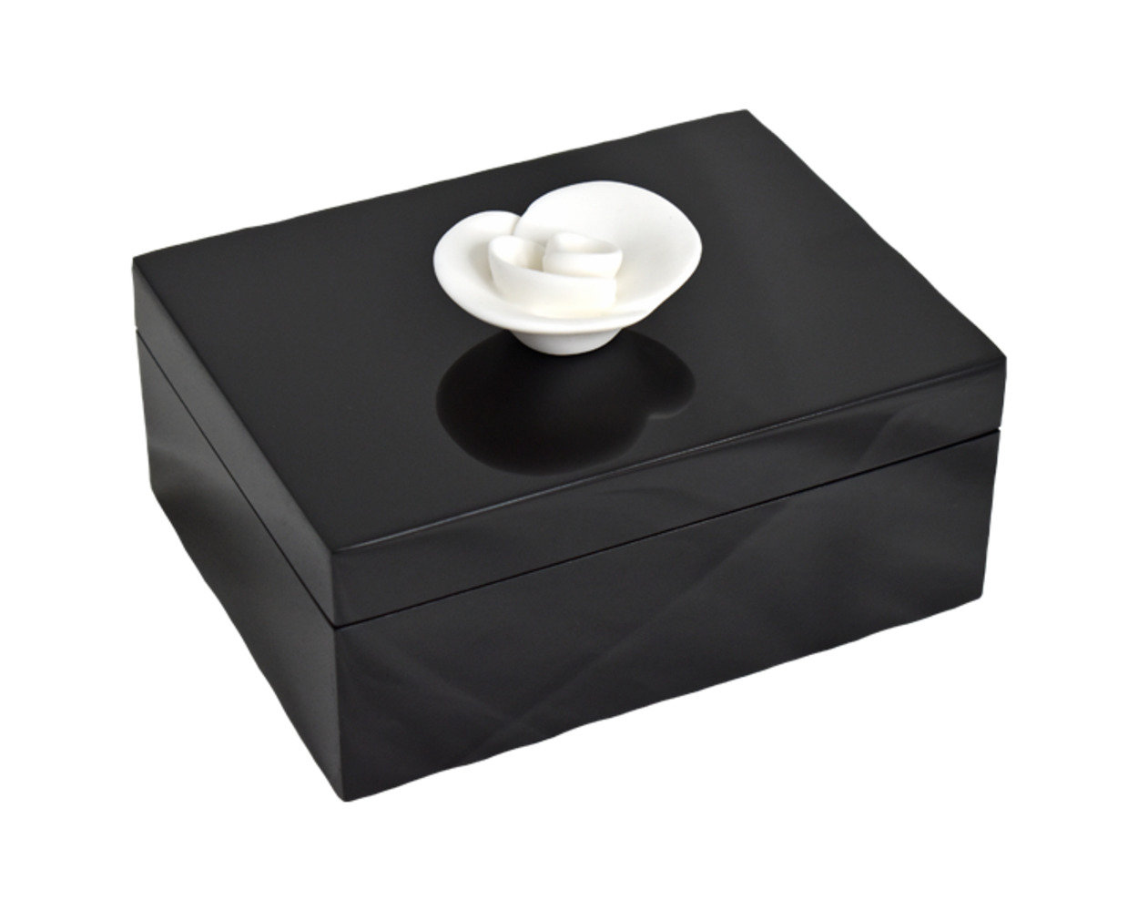 Pacific Connections Medium Decorative Box | Wayfair
