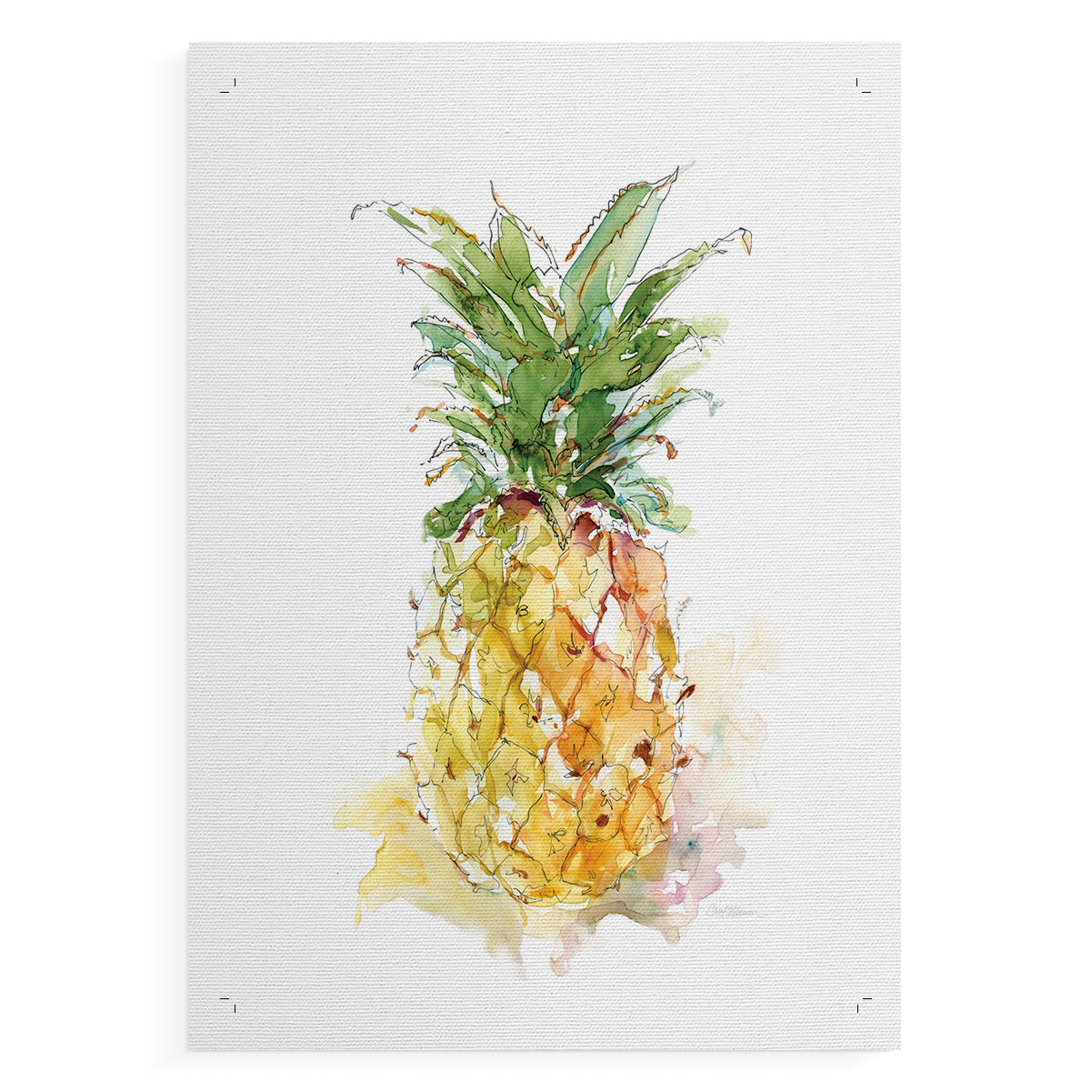 Ophelia & Co. Delicious Ripe II -Canvas Print Only - NOT FRAMED | Wayfair