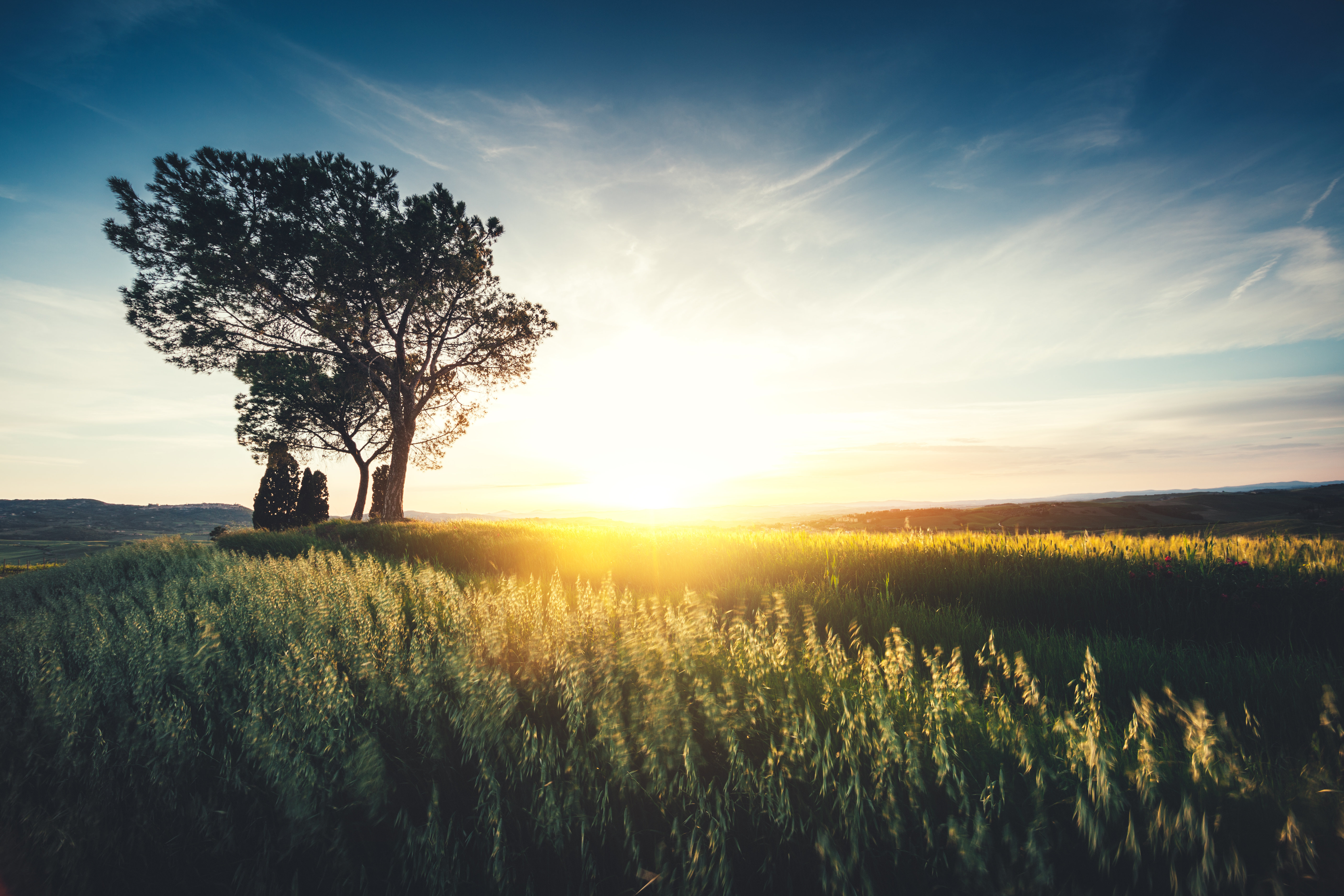 17 Stories Sunset In Val D'orcia | Wayfair.ie