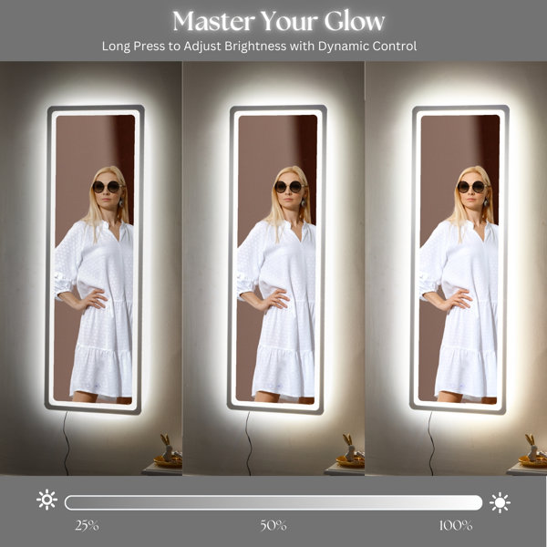 Wrought Studio™ Denekia Lighted Full Length Mirror Wall Mounted Mirror ...