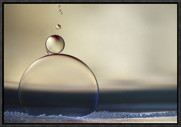 Global Gallery 'The Stragglers' by Heidi Westum Framed Graphic Art ...