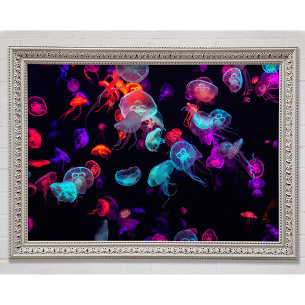 Bright Star Neon Jellyfish Frenzy - Single Picture Frame Art Prints ...
