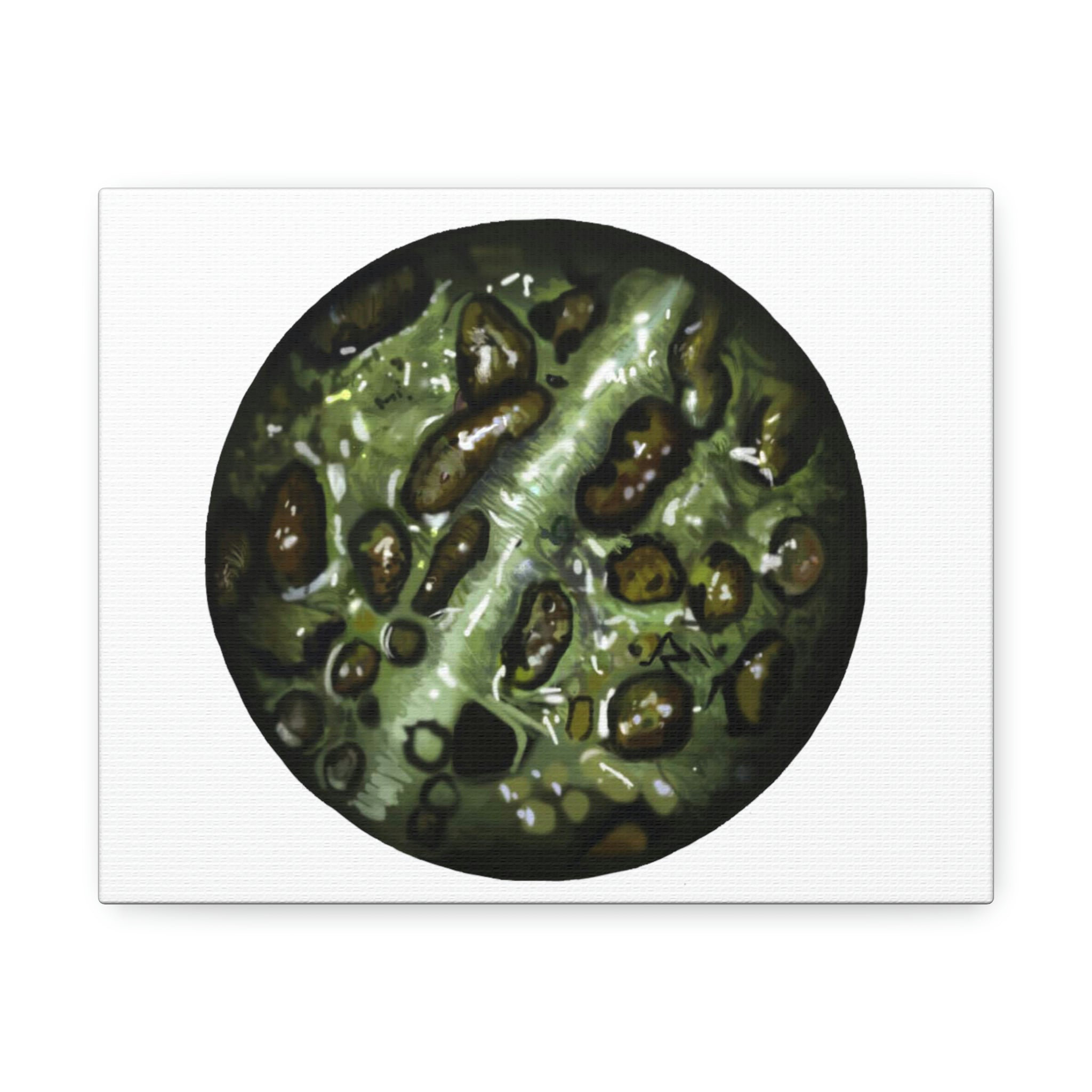 Red Barrel Studio® Toad Stretched - Wrapped Canvas Illustration | Wayfair