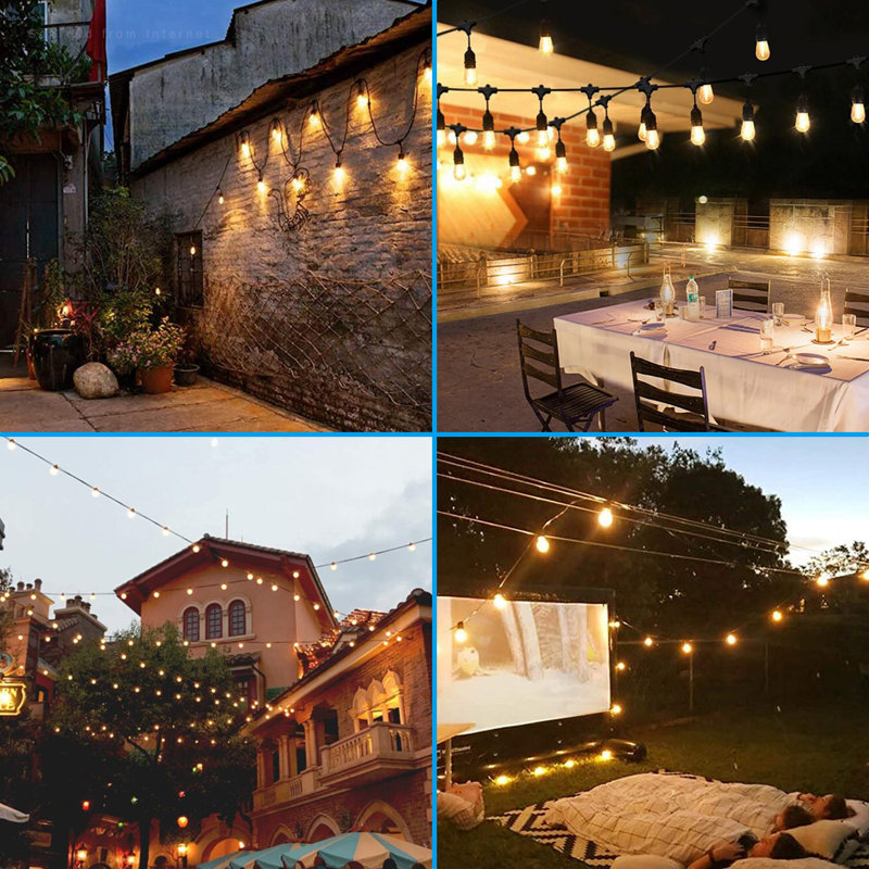 17 Stories Detwan 30 - Bulb 1152'' Plug-in String Light | Wayfair