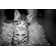 17 Stories Melfi Kitten by LisaAlison - Wrapped Canvas Photograph ...