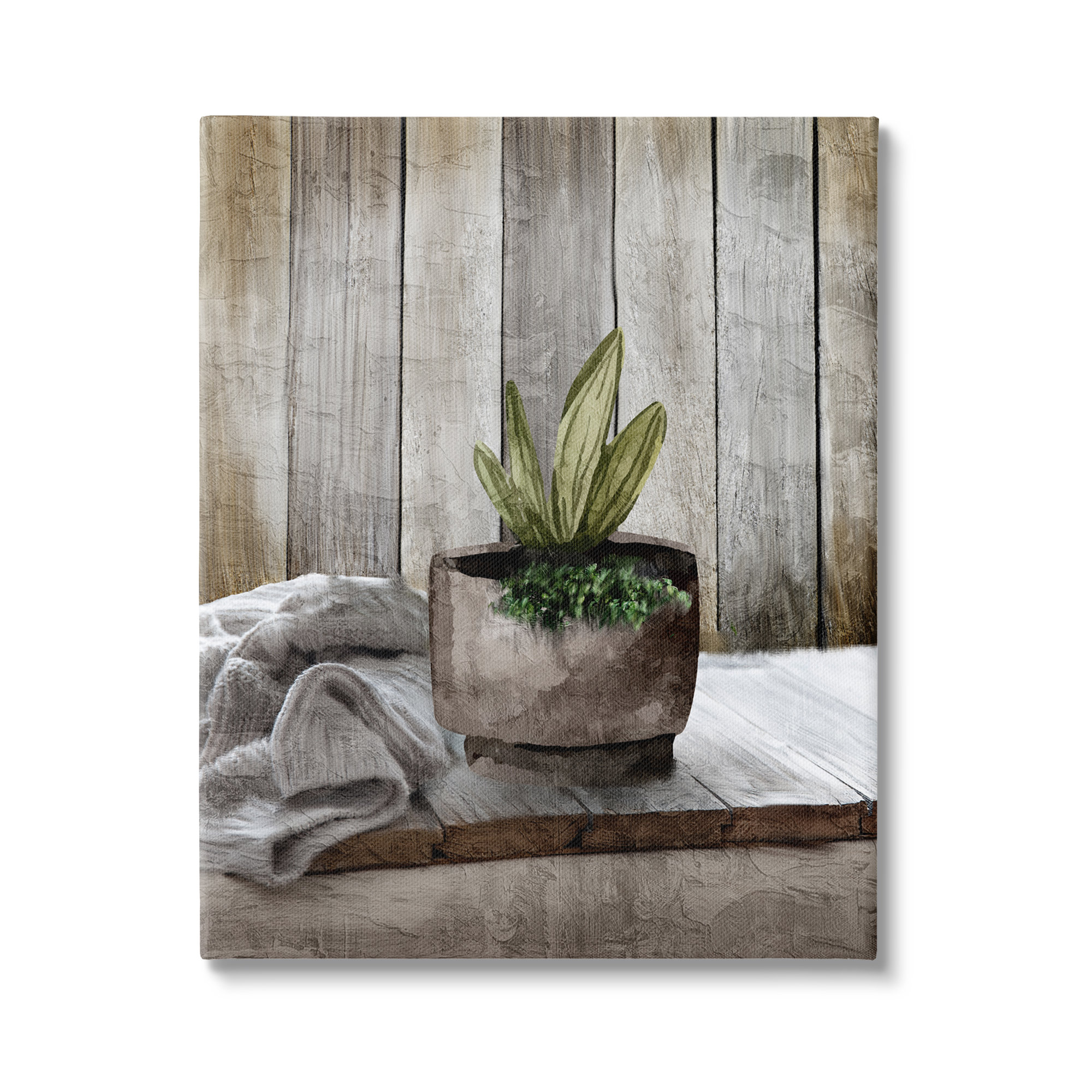 Winston Porter Potted Plant Still Life by Kim Allen | Wayfair