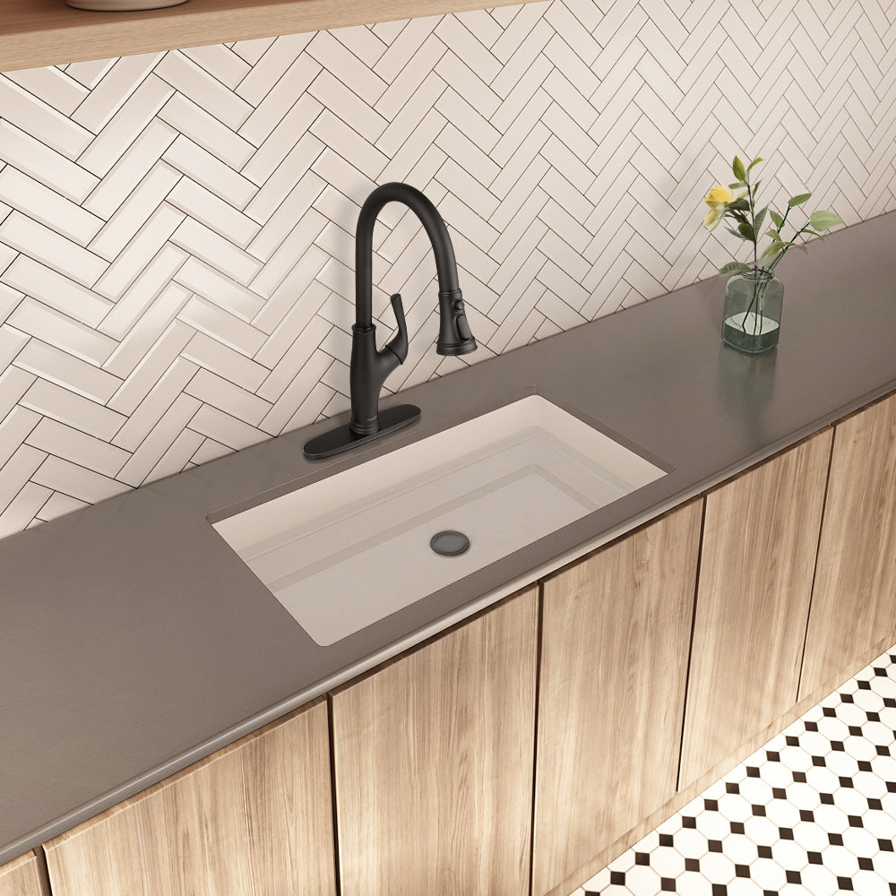NEWATER Pull Down Single Handle Kitchen Faucet & Reviews | Wayfair