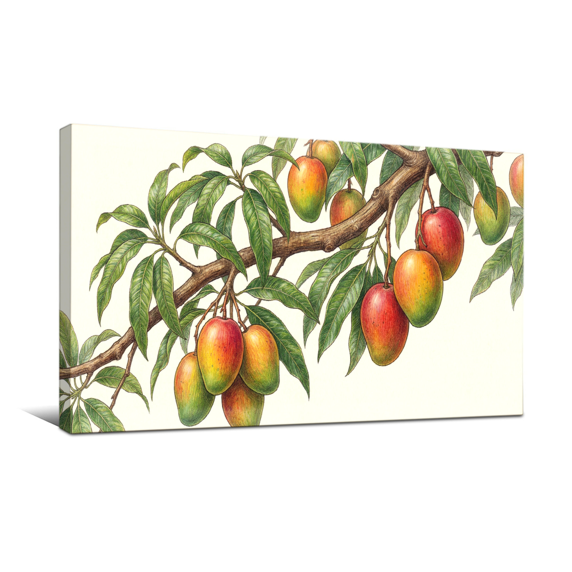 Canora Grey Plants &Flowers Mango Tree Branch With Ripe Fruits ...