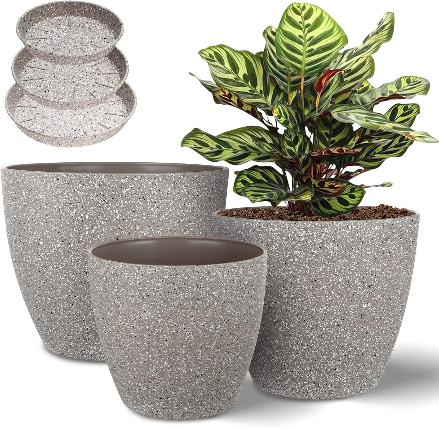Ebern Designs Plant Pots 9/8/7 Inch Set of 3 Flower Pots with Drainage ...