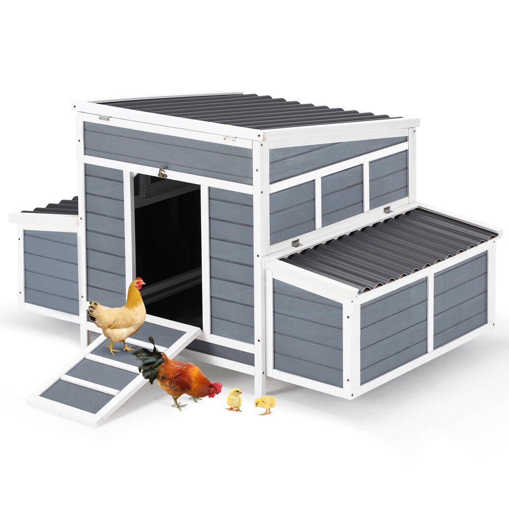 Tucker Murphy Pet™ Chicken Coop, 56" Large Wooden Chicken Hutch With 6 ...