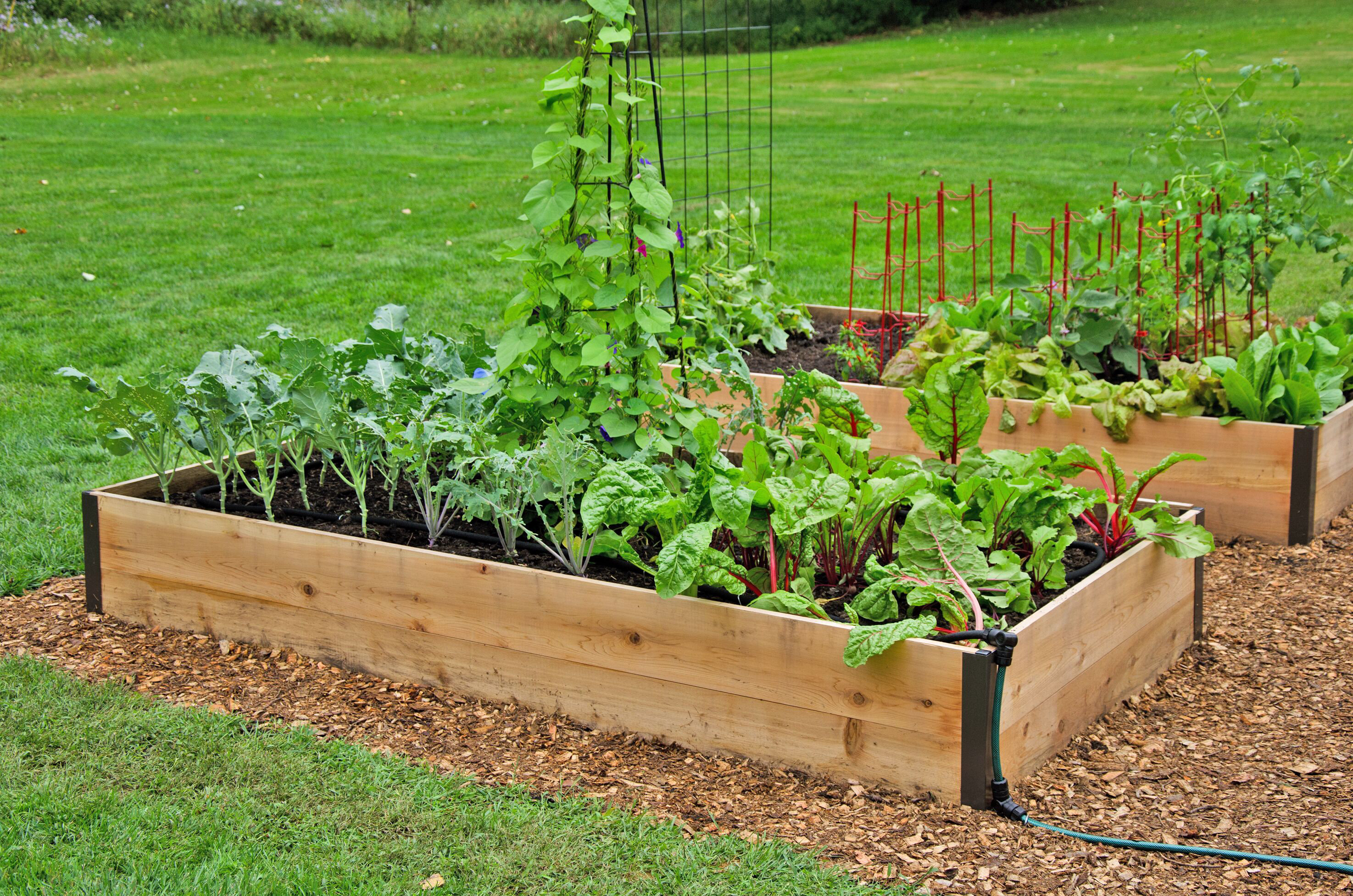 Red Barrel Studio® Deep Root Cedar Raised Beds (14” D) | Wayfair