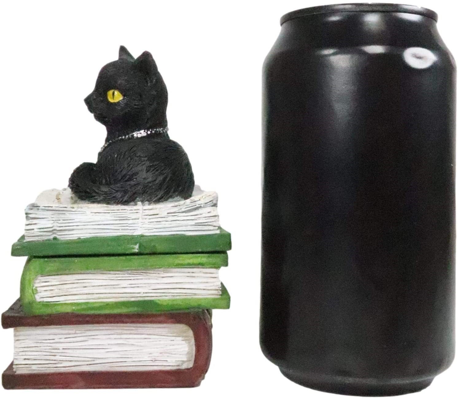 Trinx Ebros Wiccan Mythical Witching Hour Black Cat With Pentagram Star ...