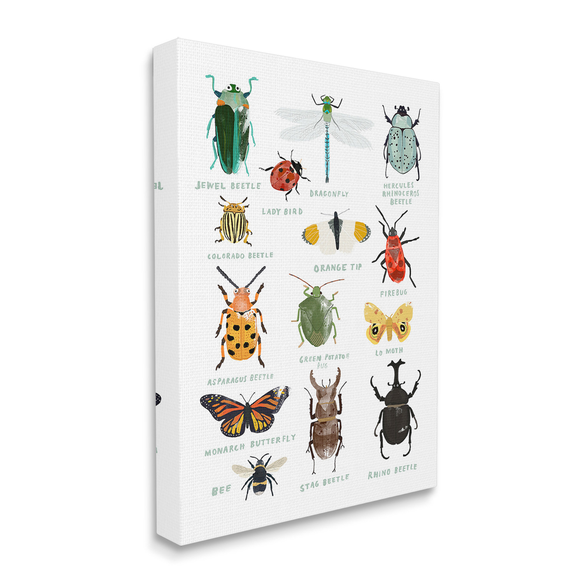 August Grove® " Educational Bug Types " by Hanna Melin on | Wayfair