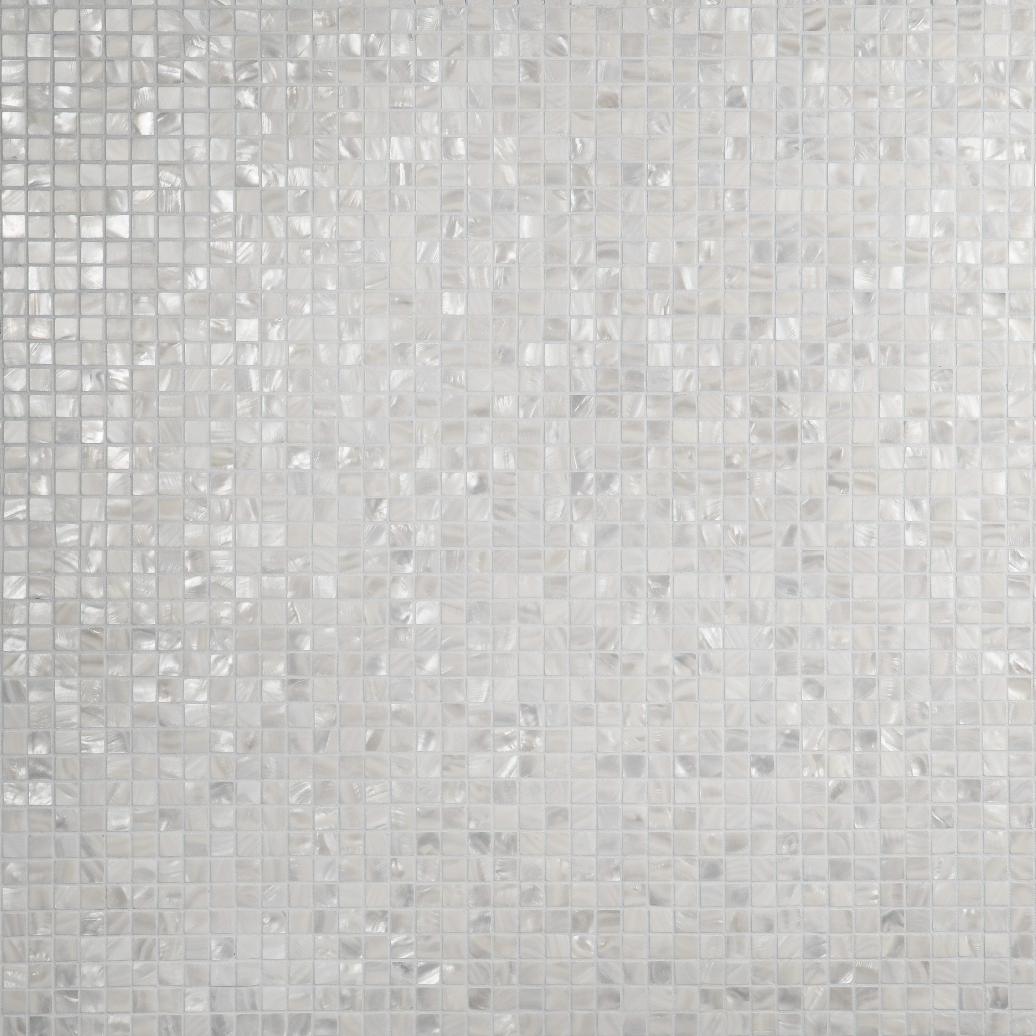 Merola Tile Conchella Square White 12" x 12" Natural Shell Mosaic Tile ...