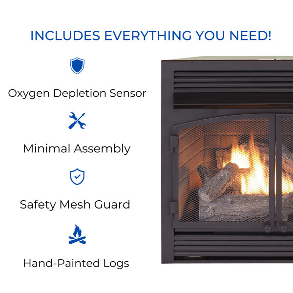 Duluth Forge Dual Fuel Ventless Gas Fireplace Insert - 32,000 BTU, T ...