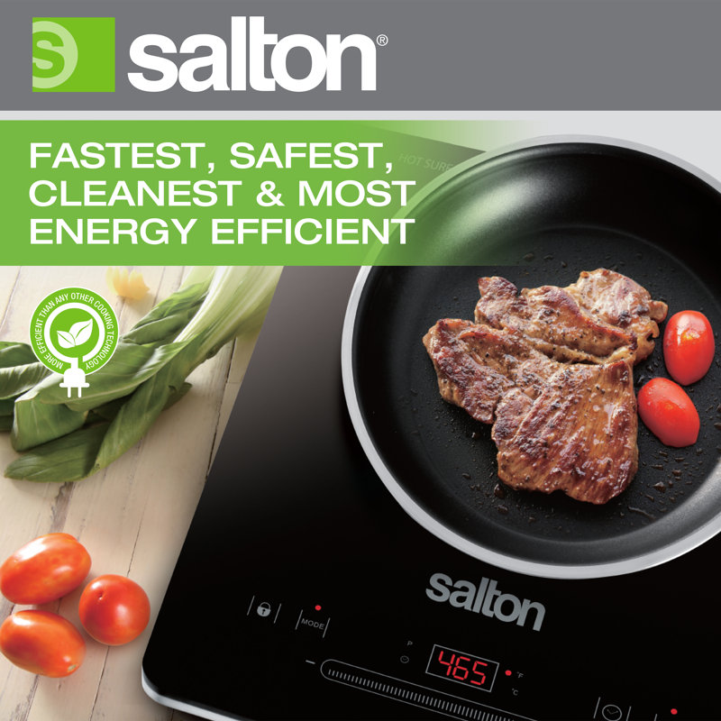 Salton 1800 Watt Induction Single Hot Plate | Wayfair