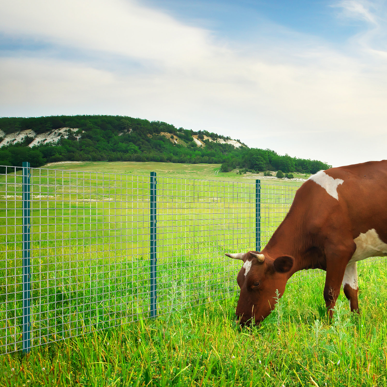 VEVOR 3 Feet Fence Post 10 Pack T-Post Heavy Duty Metal Fence Posts ...