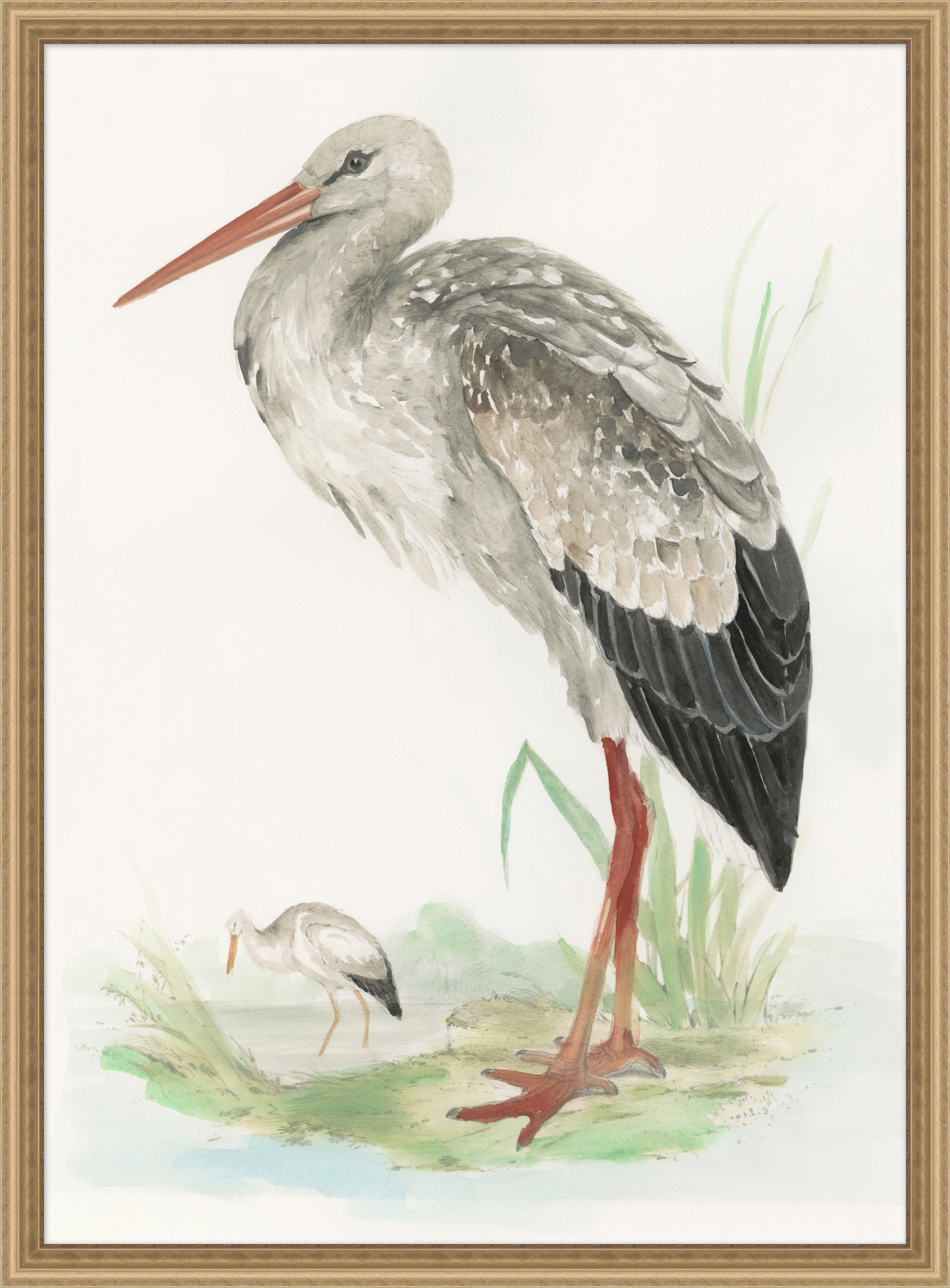 Wendover Art Group Waterbird 2 - Picture Frame Painting on Paper | Wayfair