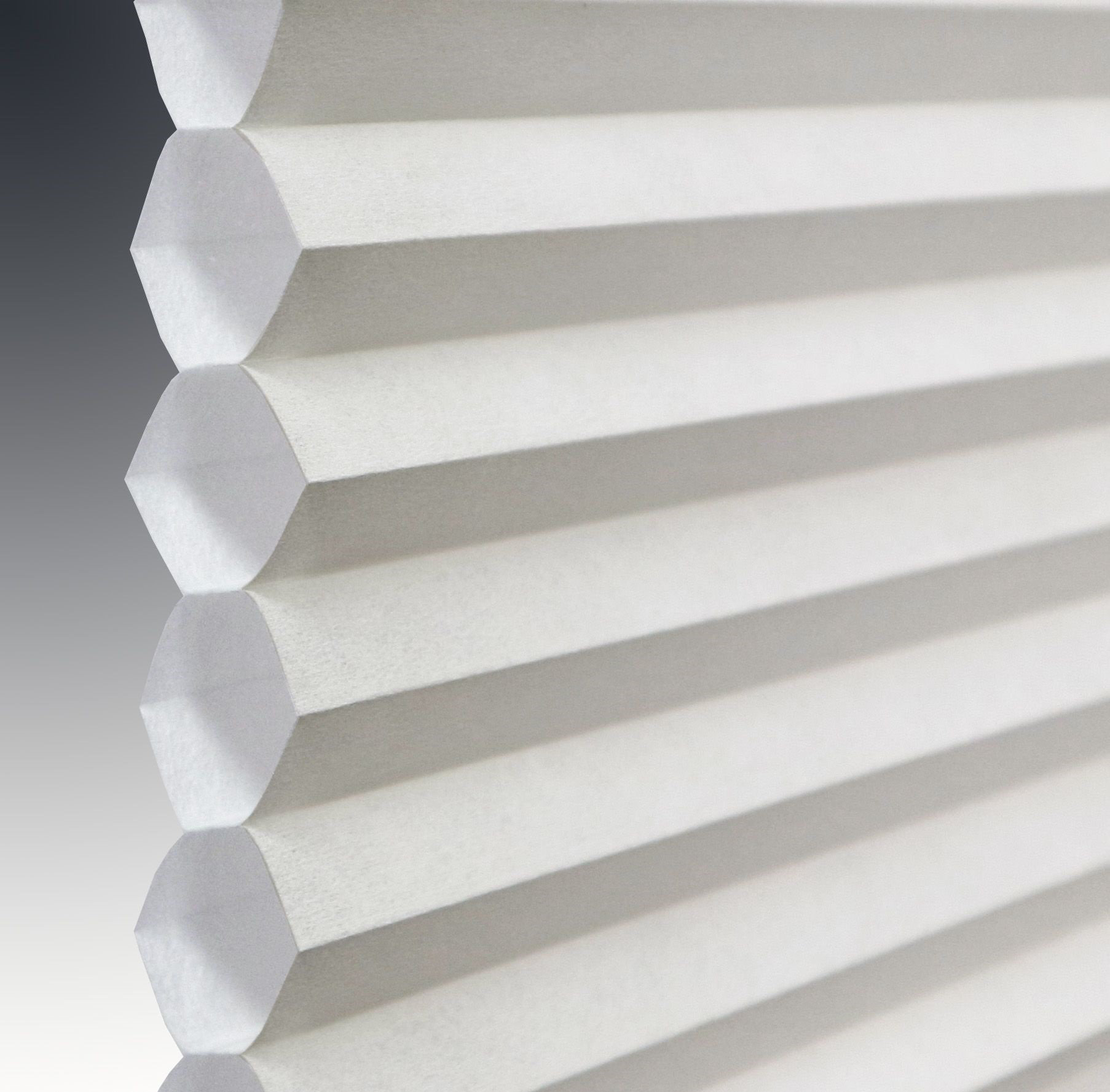 Blinds Avenue Semi-Sheer White Cellular Shade & Reviews | Wayfair