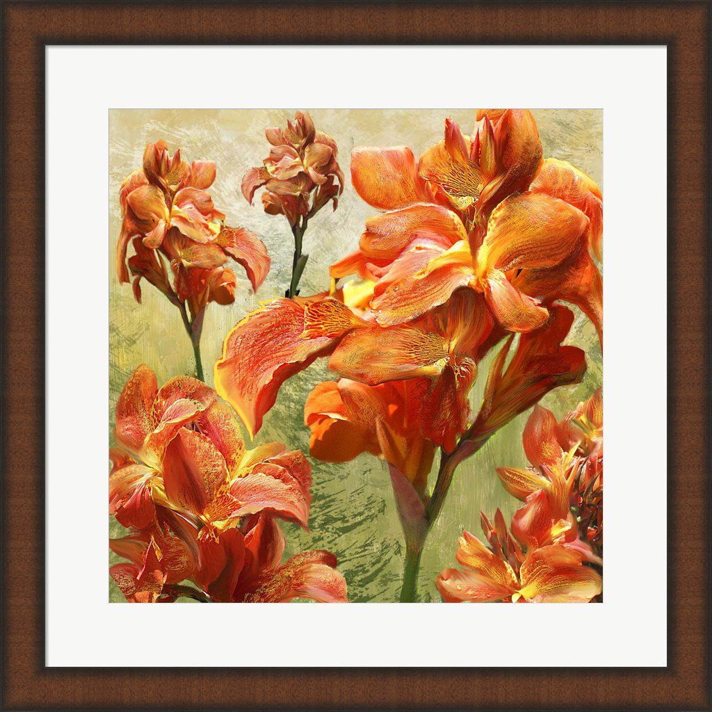 Red Barrel Studio® Orange Orchid Bloom By Anthony Christou, Framed Wall ...