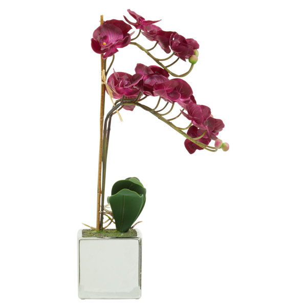 The Seasonal Aisle 52Cm Artificial Flowering Plant in Pot | Wayfair.co.uk