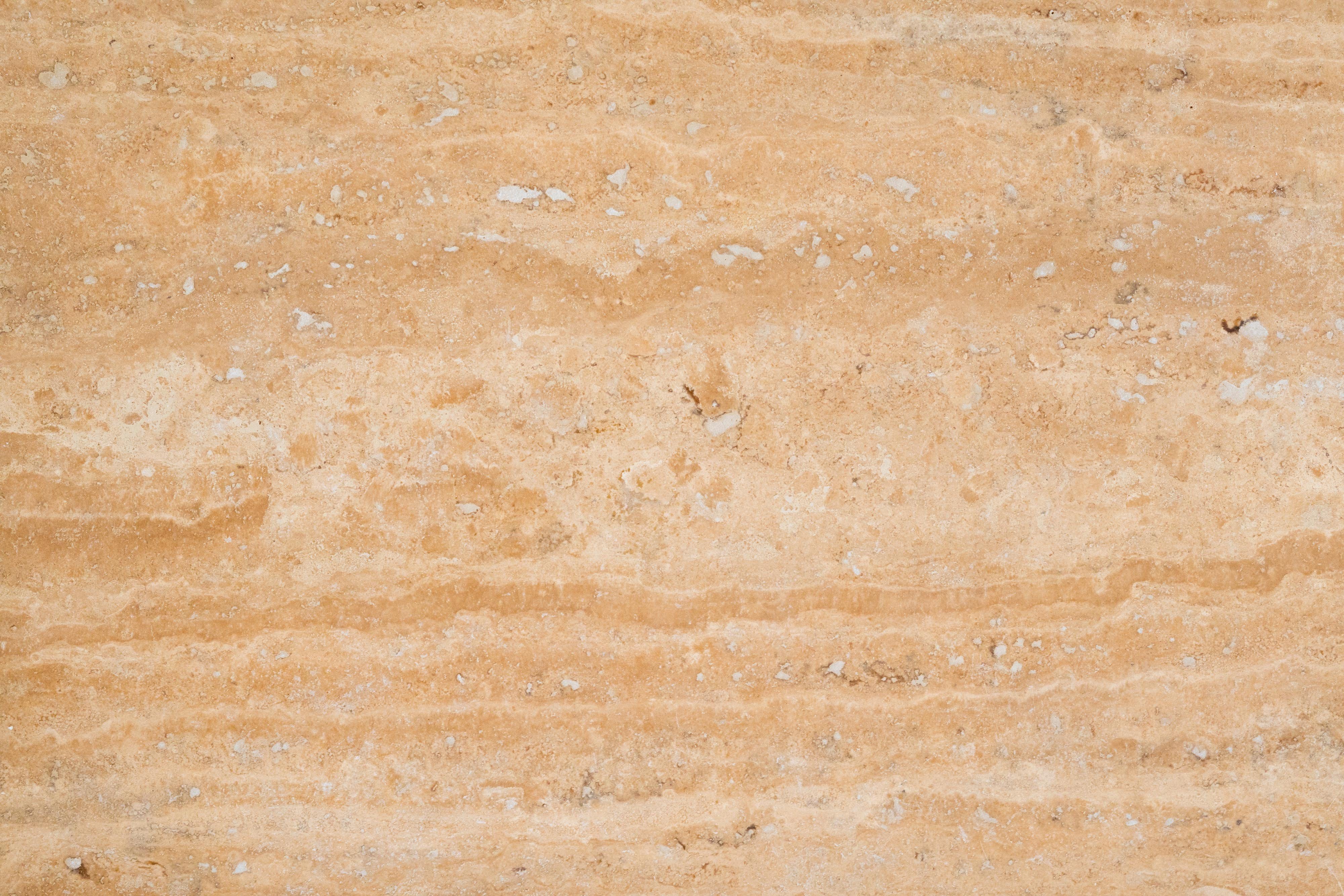 Stone & Tile Shoppe, Inc. Walnut Honed 12" x 12" Travertine Stone Look ...