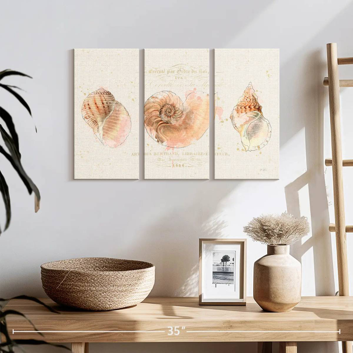 Elephant Stock Pretty Shells Collection I | Wayfair