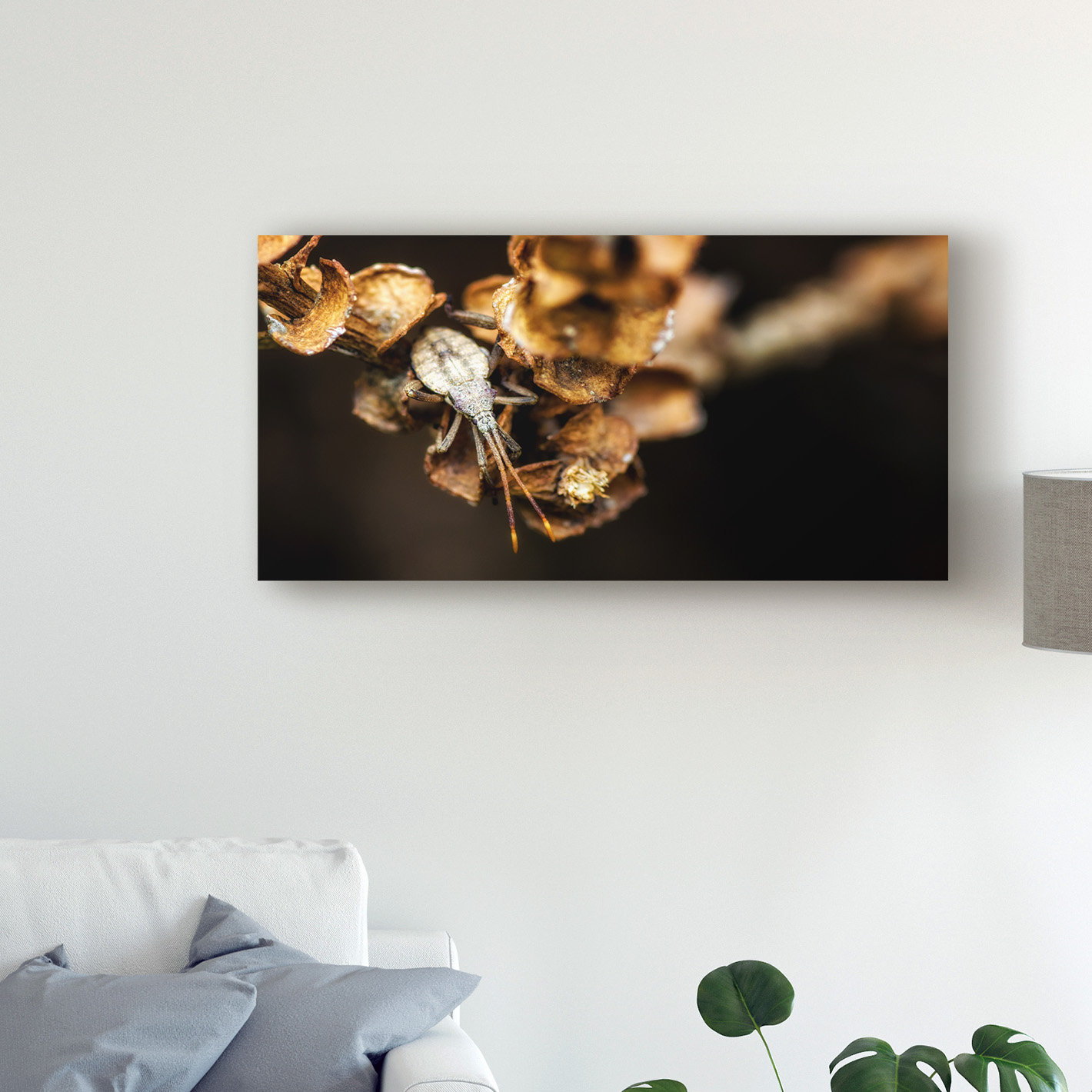 Ebern Designs Shield Bug On Brown Leaves by Pixie Pics - Wrapped Canvas ...
