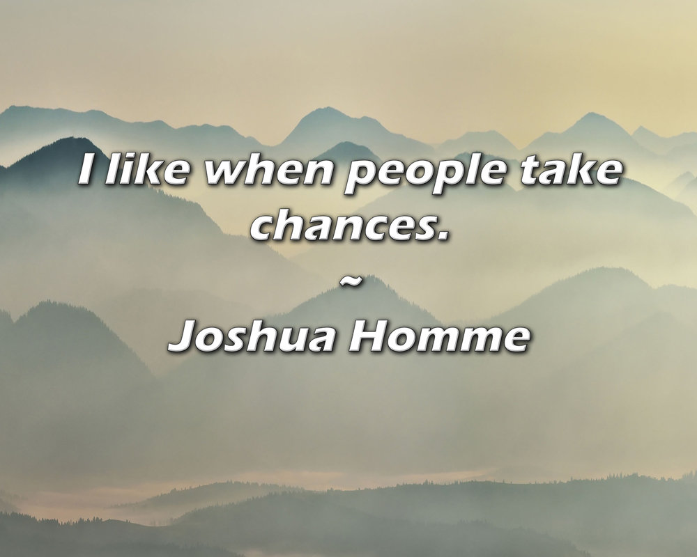 Trinx Joshua Homme Quote: I like when people take chances. | Wayfair