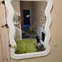 Joss & Main Axinia Accent Mirror & Reviews | Wayfair