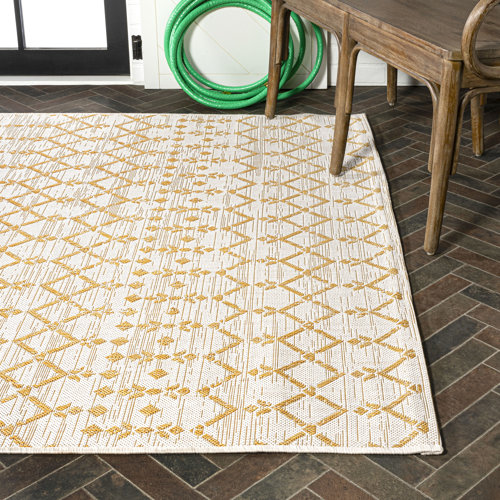 Foundry Select Avag Indoor/Outdoor Rug & Reviews | Wayfair