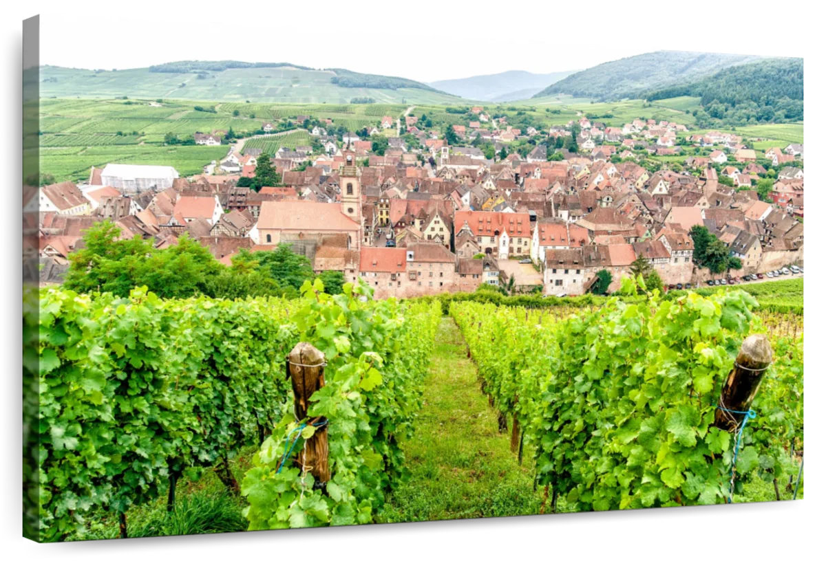 Ebern Designs Alsace Village Vineyard - Wayfair Canada