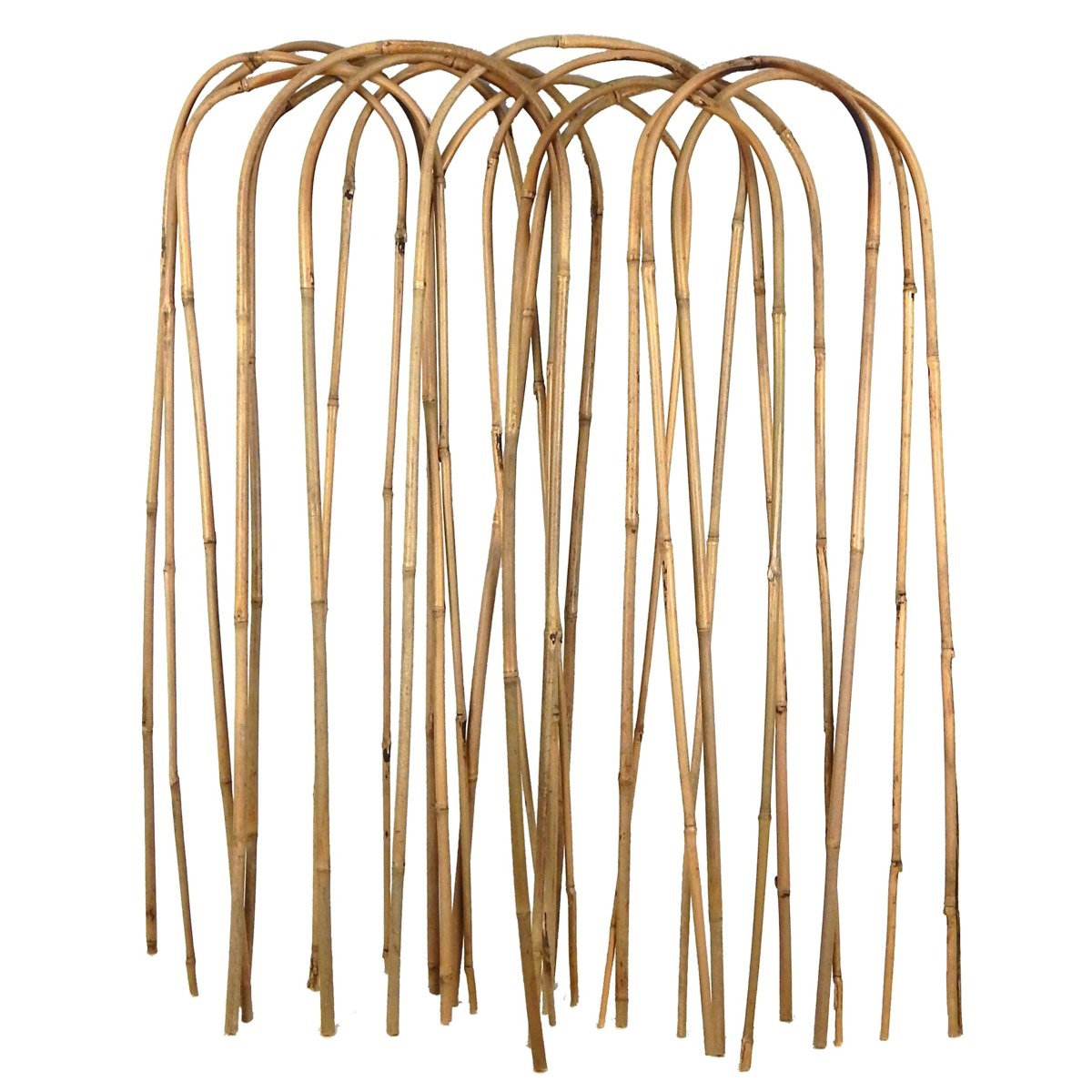 Ophelia & Co. 30 In. Bamboo U Trellis Hoop Stakes (16 Pack) - Wayfair ...