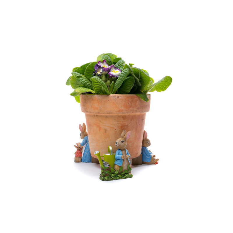 Jardinopia Beatrix Potter Peter Rabbit Coloured Planter Feet In Gift ...
